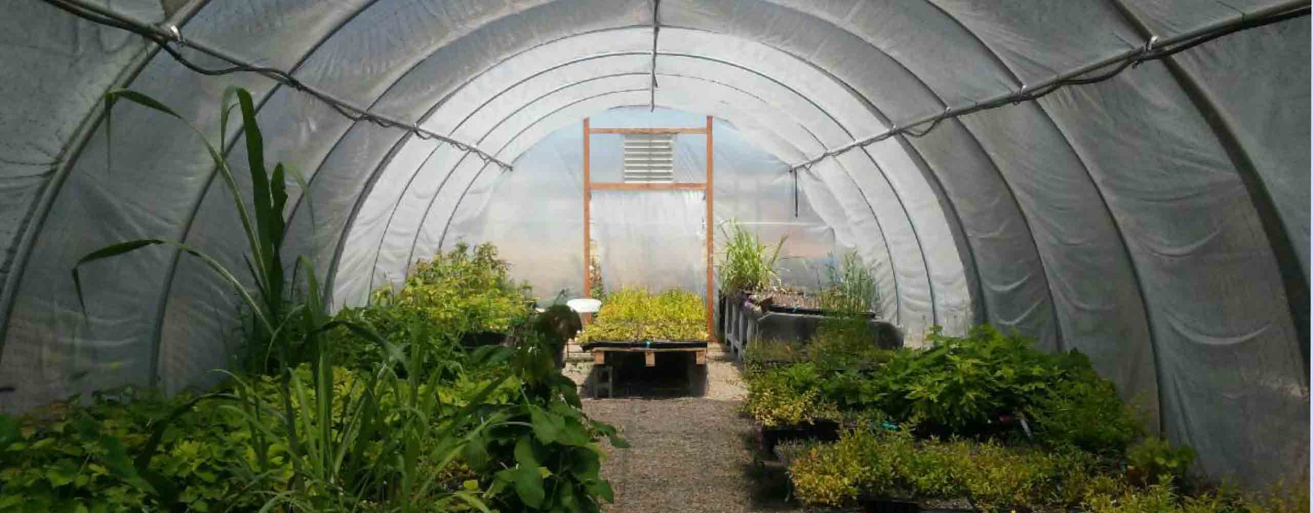 January 2021 Newsletter – Planting Justice