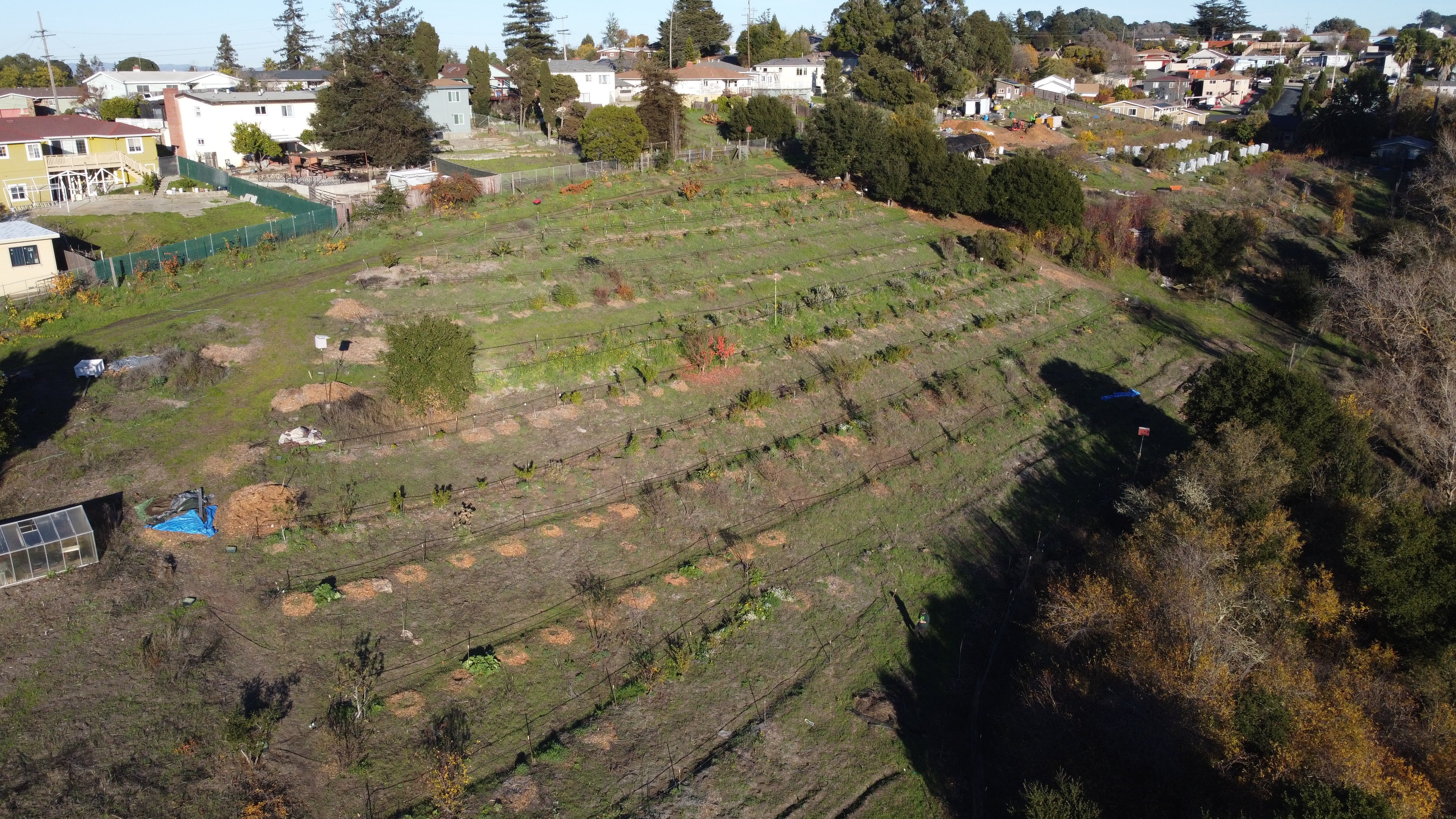 Mother Farm Collection – Planting Justice