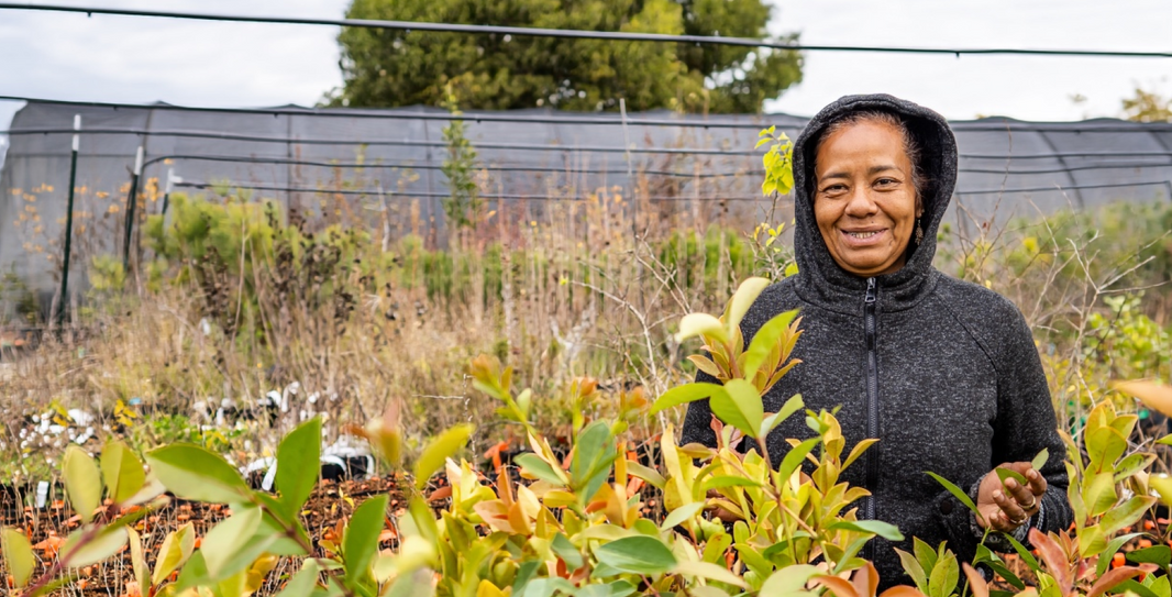 Blog – Planting Justice