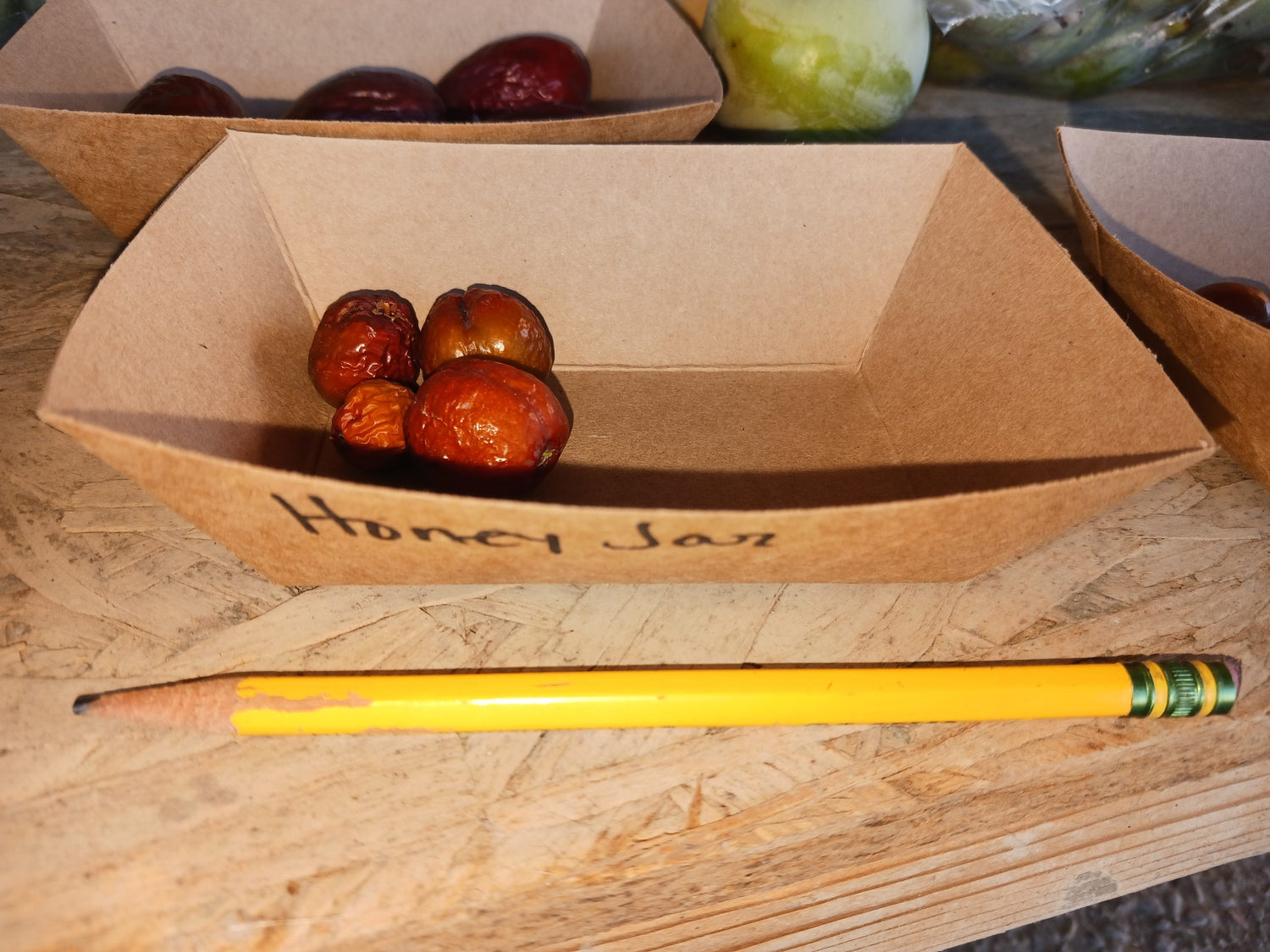 Honey Jar Jujube (Ziziphus jujuba) – Planting Justice